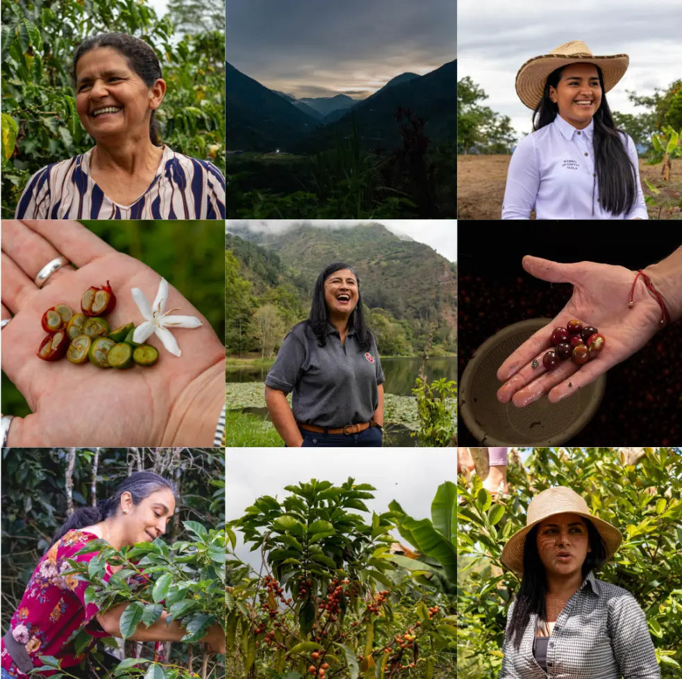 INTRODUCING OUR WOMEN IN COFFEE FUND – Devoción