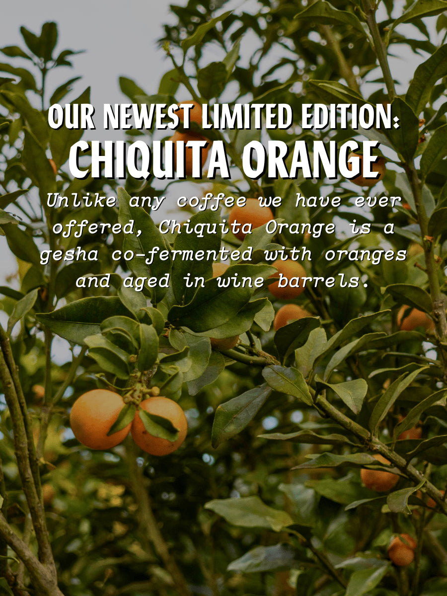 Devoción Coffee | Farm-Fresh Specialty Colombian Coffee